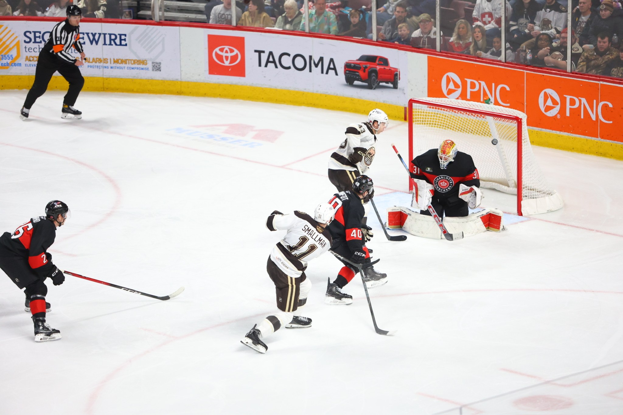 Late goal halts Bears comeback against Charlotte – The Chocolate Roar